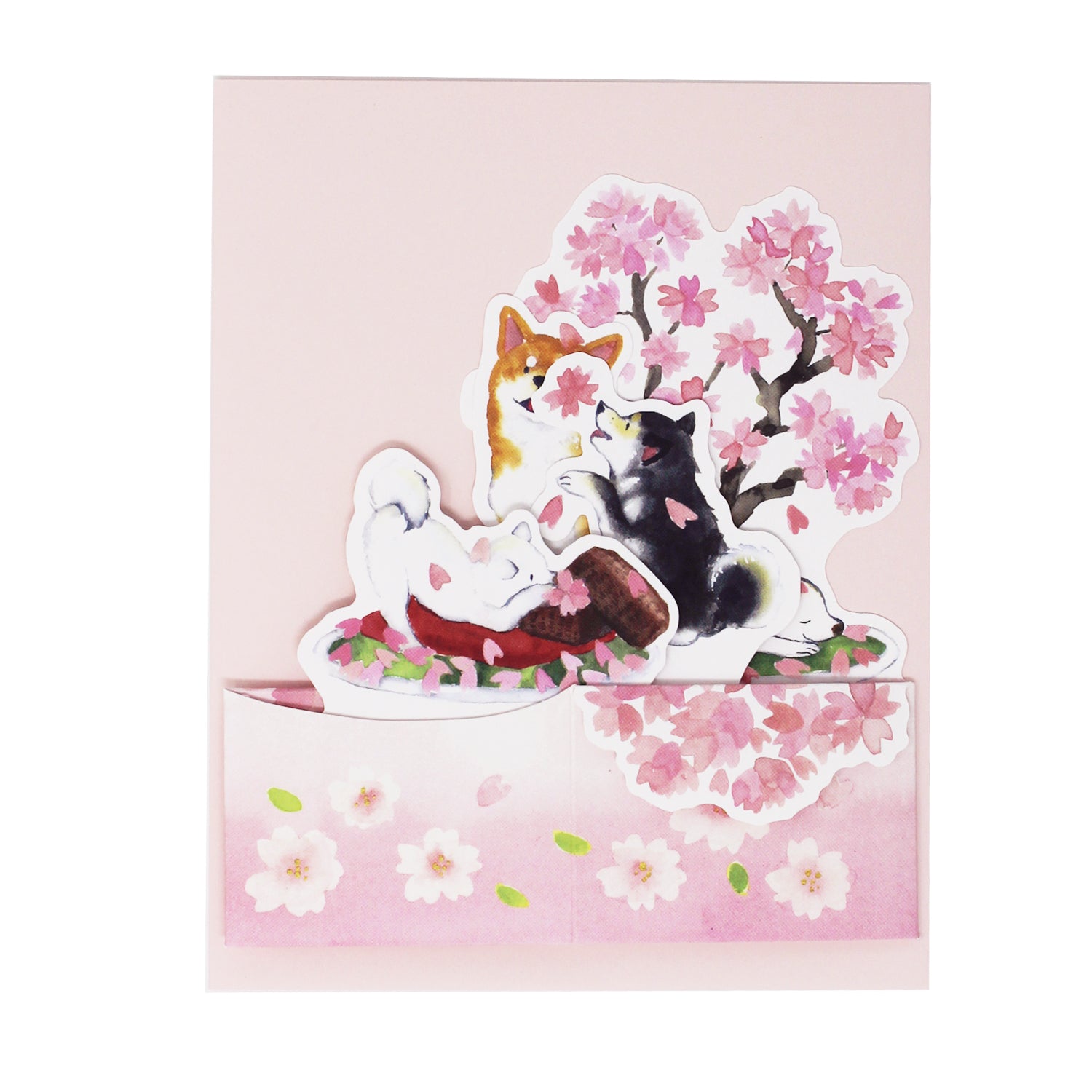 Shiba Inu & Cherry Blossoms 3D Box Pop-Up Card – Mini, Made in Japan ...
